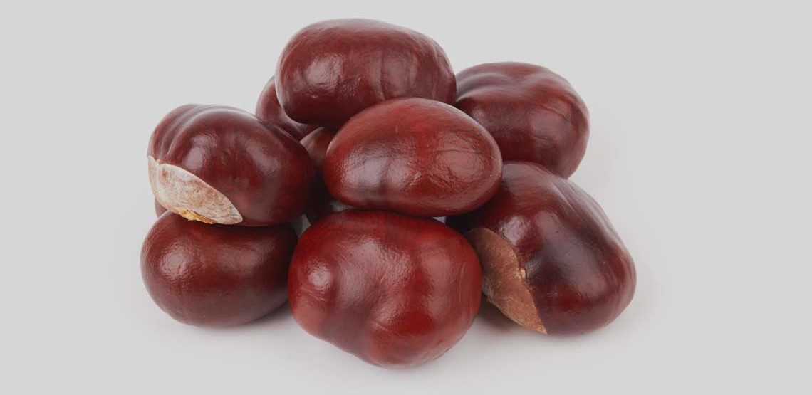 Kalemljeni kesten - Berry Project